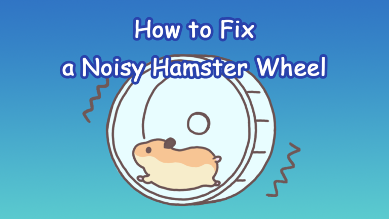 [With Photos] Hamster Behaviors and Their Meanings